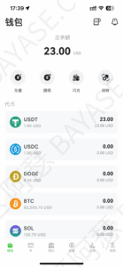 DogPay 全面指南（2025最新版）：虚拟卡、钱包、美国银行账户与加密货币收单系统深度解析 » 湾区阿瑟 - 港卡开户、港美股打新全攻略